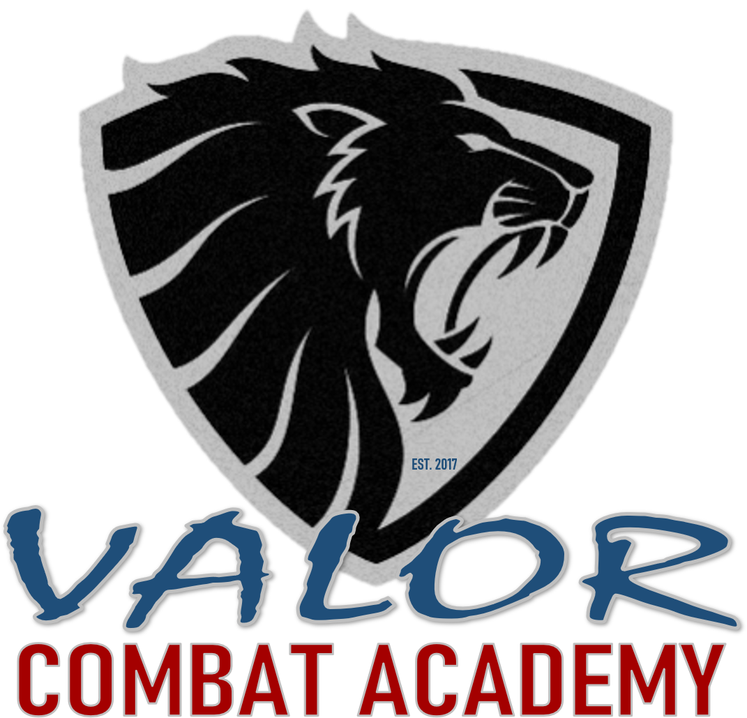 Valor Combat Academy – Valor Personal Defense Systems
